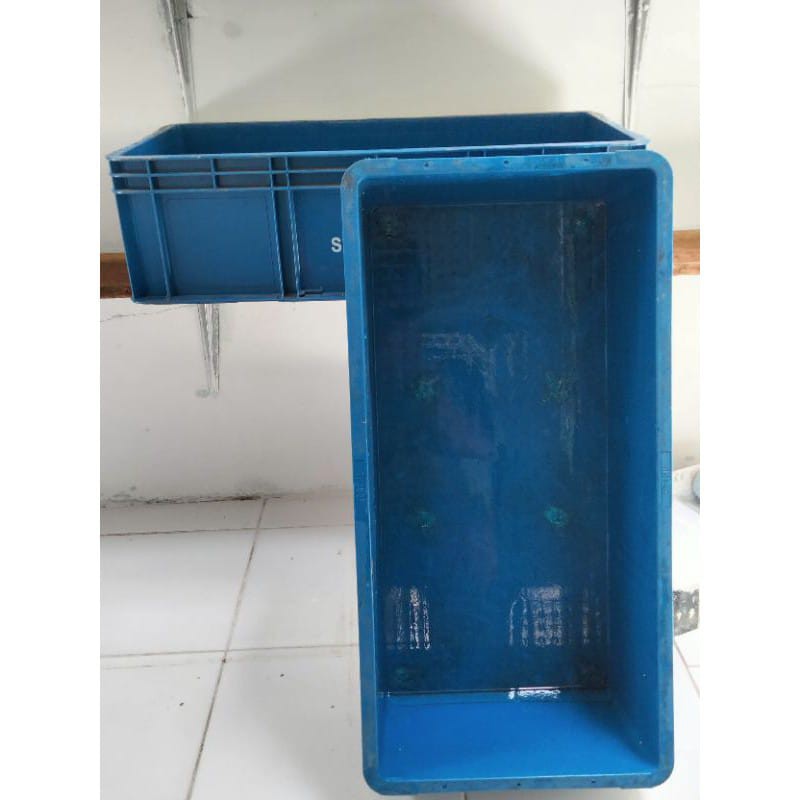 Jual Box tahu bak container bak kura-kura bak ikan box rabbit 6688 ...