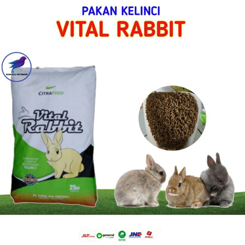 Jual VITAL RABBIT PAKAN KELINCI REPACK 1KG | Shopee Indonesia
