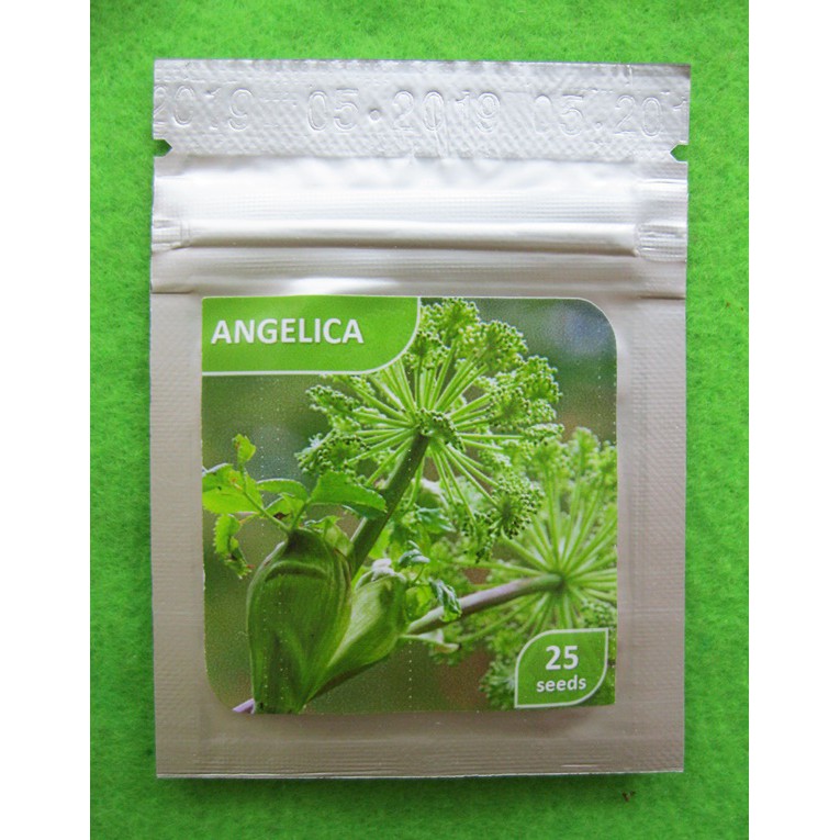 Jual Benih Biji Bunga Angelica Pack | Shopee Indonesia