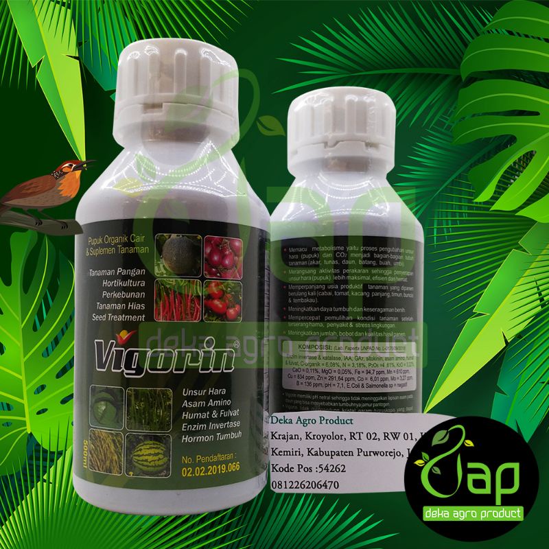 Harga Vigorin Terbaru Juli 2022 |BigGo Indonesia