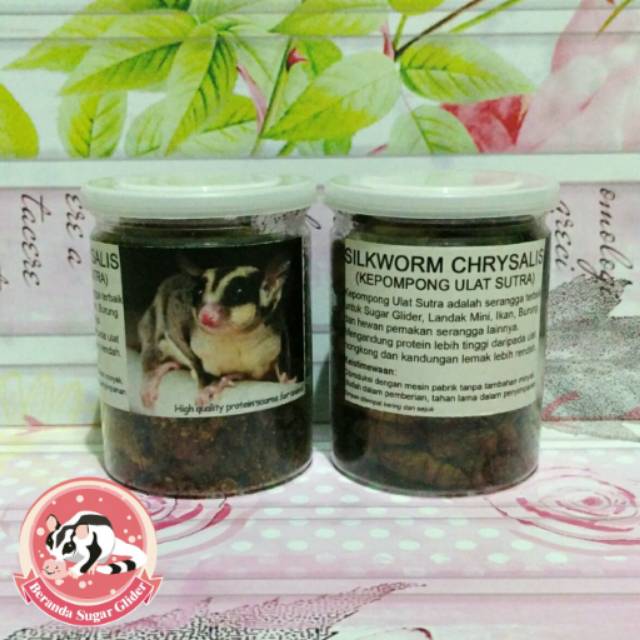 Jual Kepompong Ulat Sutra Kering | Makanan Pakan Hewan Kering Sugar ...