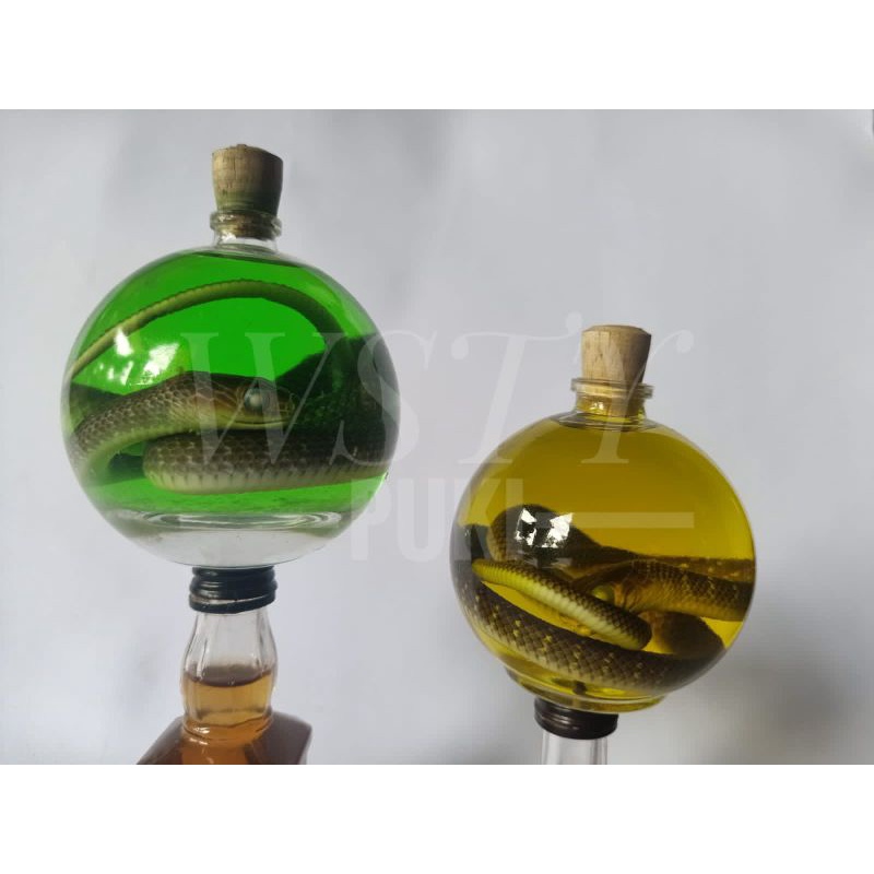 Jual Botol Jin Ifrit | Shopee Indonesia