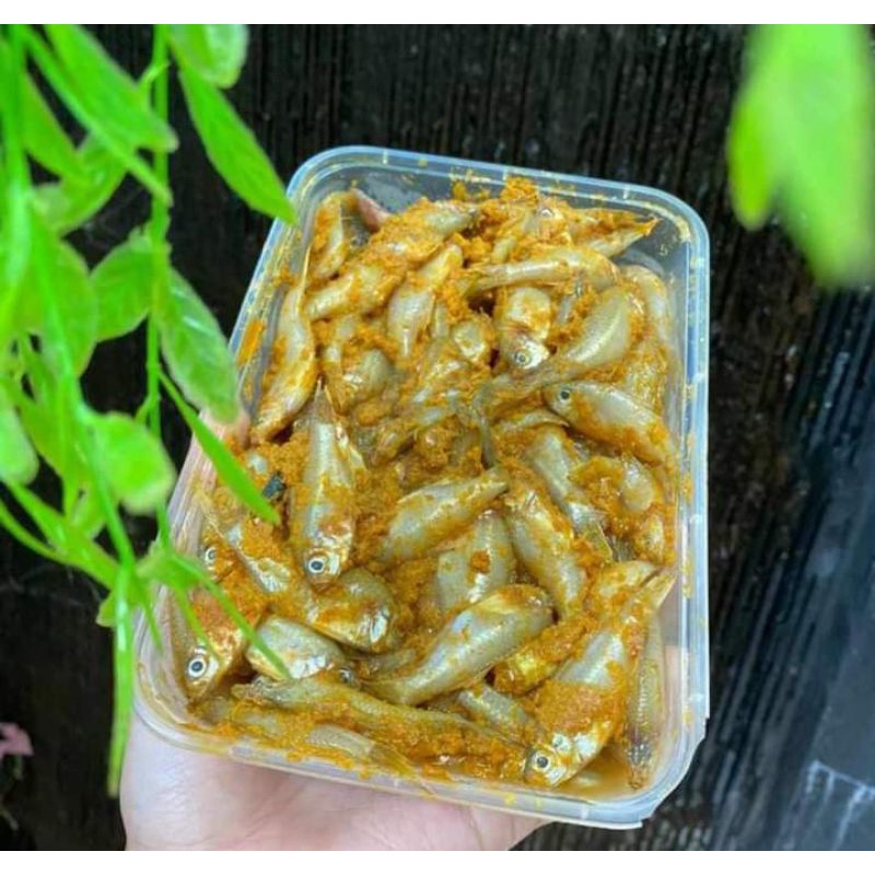 Jual IKAN WADER BUMBU KUNING | Shopee Indonesia