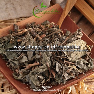 Jual Rempahku - Daun KEJI BELING 10gr Ngokilo Pecah Beling Ngukilo Jamu ...