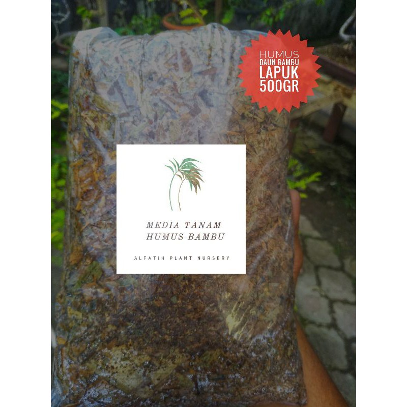 Jual Media Tanam Humus Bambu atau Daun Bambu Lapuk 500gr | Shopee Indonesia