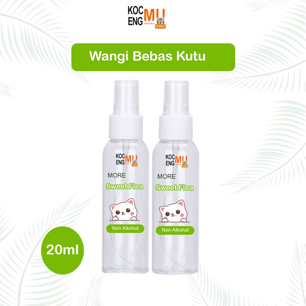 Jual Parfum Kucing Hamster Anjing Tahan Lama Minyak Wangi Kucing Sweet ...