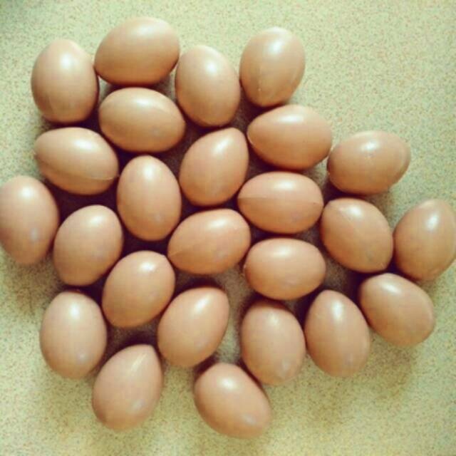 Jual Mainan Telur Bebek/ Telur Teluran/ Telor Mainan/ Mainan Telor Ayam ...