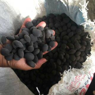 Jual Keranji/kranji asam/buah kranji 1kg Indonesia|Shopee Indonesia