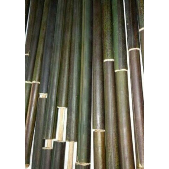 Jual Mainan Tradisional Pletokan Bambu untuk anak anak | Shopee Indonesia