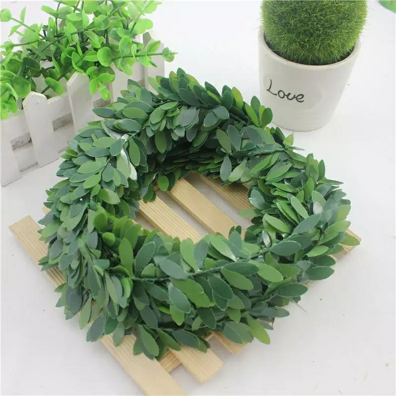 Jual Daun Rambat Kawat Lee Kuan Yew Flower Crown | Shopee Indonesia