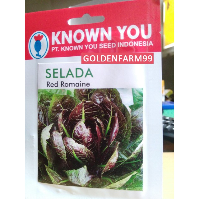 Benih bibit selada red romaine harga murah original packing | Shopee Indonesia