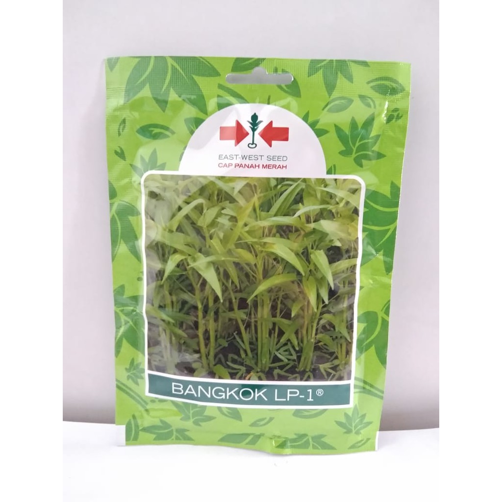 Jual Benih / Bibit Kangkung Bangkok Panah Merah @ 1500 Butir | Shopee ...