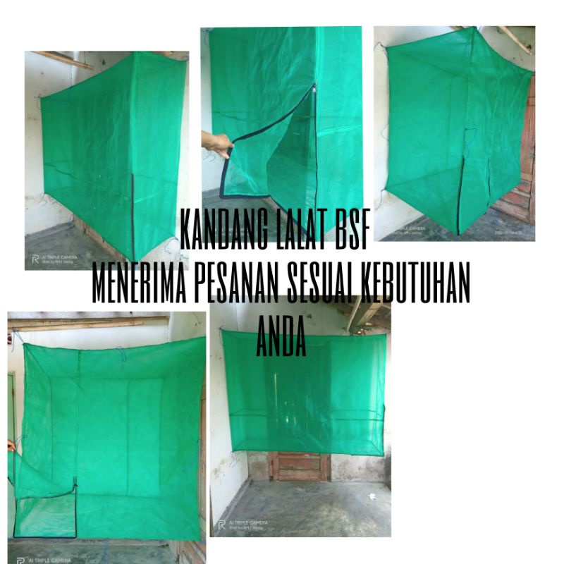 Jual kandang lalat bsf berat 1kg | Shopee Indonesia Jual kandang lalat bsf berat 1kg | Shopee Indonesia