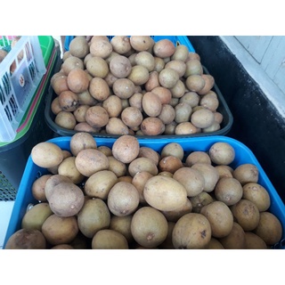 Jual Sawo Merah Super(gred A) | Shopee Indonesia