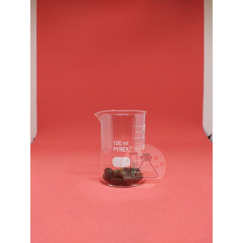 Beaker glass - gelas kimia 100ml - 100 ml pyrex | Shopee Indonesia