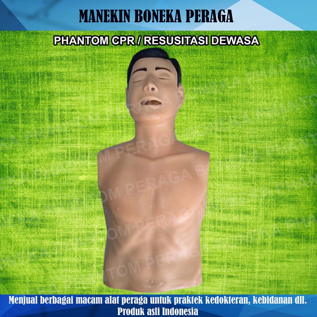 Jual BONEKA ALAT PERAGA / MANEKIN PHANTOM CPR / RESUSITASI DEWASA ...