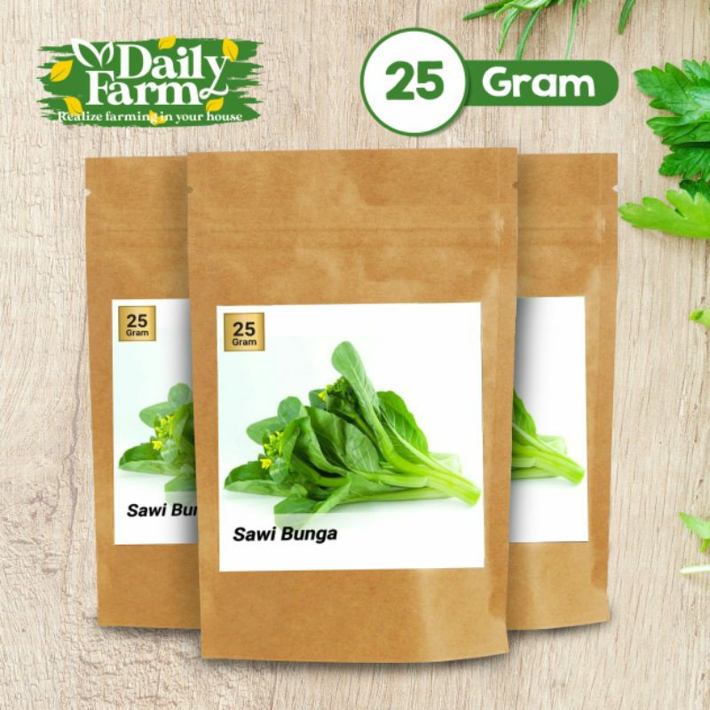 Jual Benih Sayur Sawi Bunga ( 25 Gram ) | Shopee Indonesia
