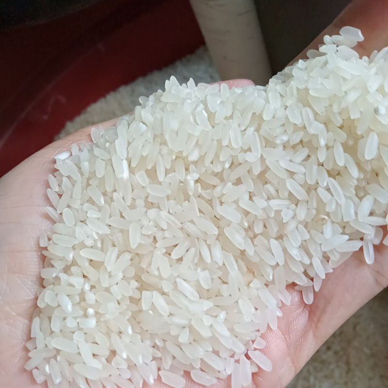 Jual Beras Perak 1 liter | Shopee Indonesia