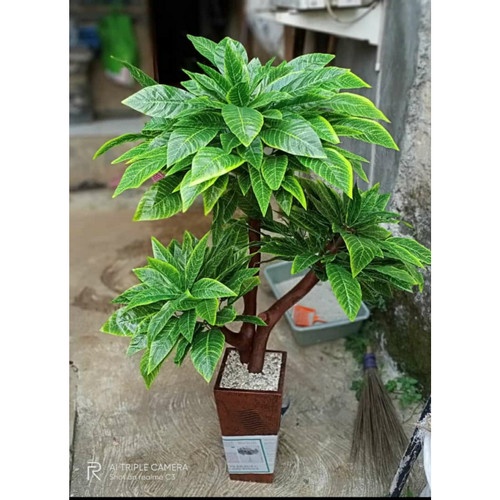 Jual Pohon Golden Lucky 120cm Artificial Pohon Pojok Sudut Dekorasi ...