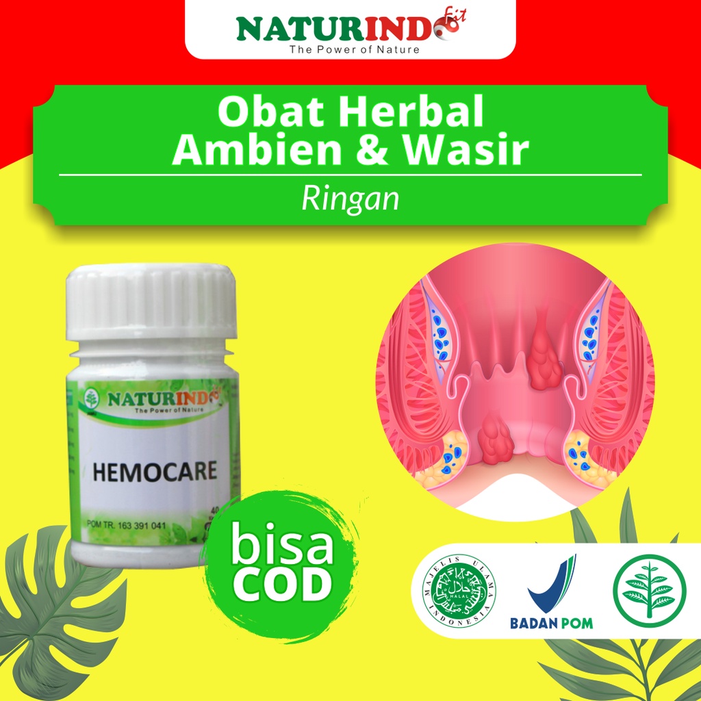 Jual Obat Herbal Wasir Ambeyen Benjolan Ambien Ambeien BAB Berdarah ...