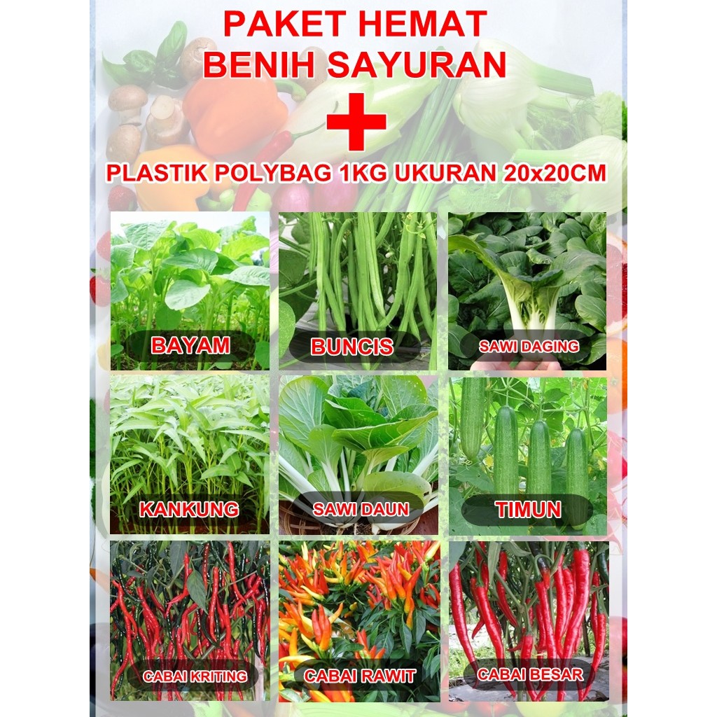 Jual Paket Benih Sayuran Isi 9 Jenis - Polybag 20x20C Isi -+220 Biji ...