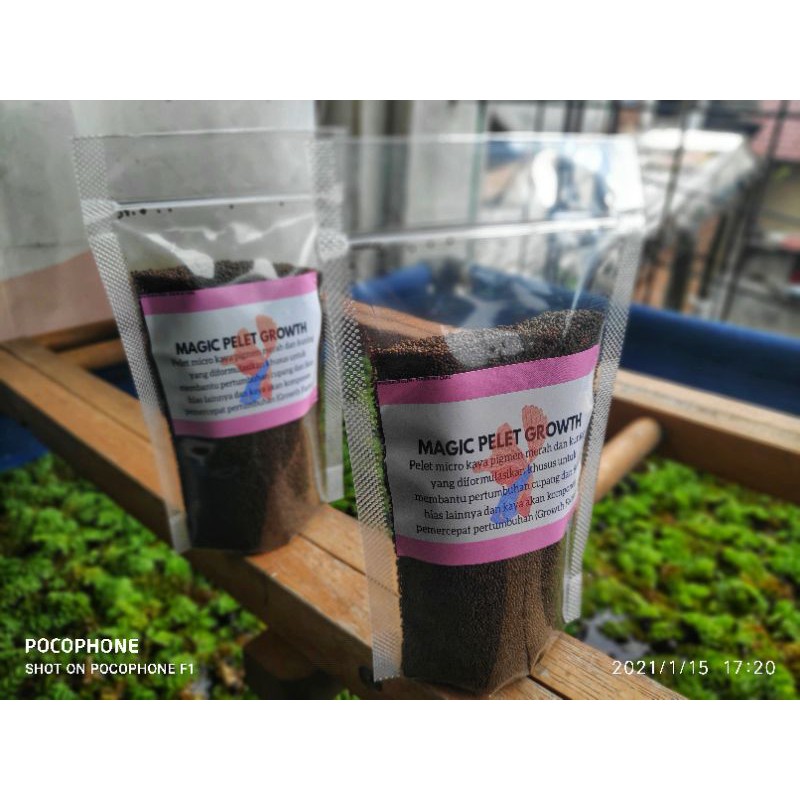 Jual Magic Pelet Growth Pelet Micro yang Efektif Mempercepat ...