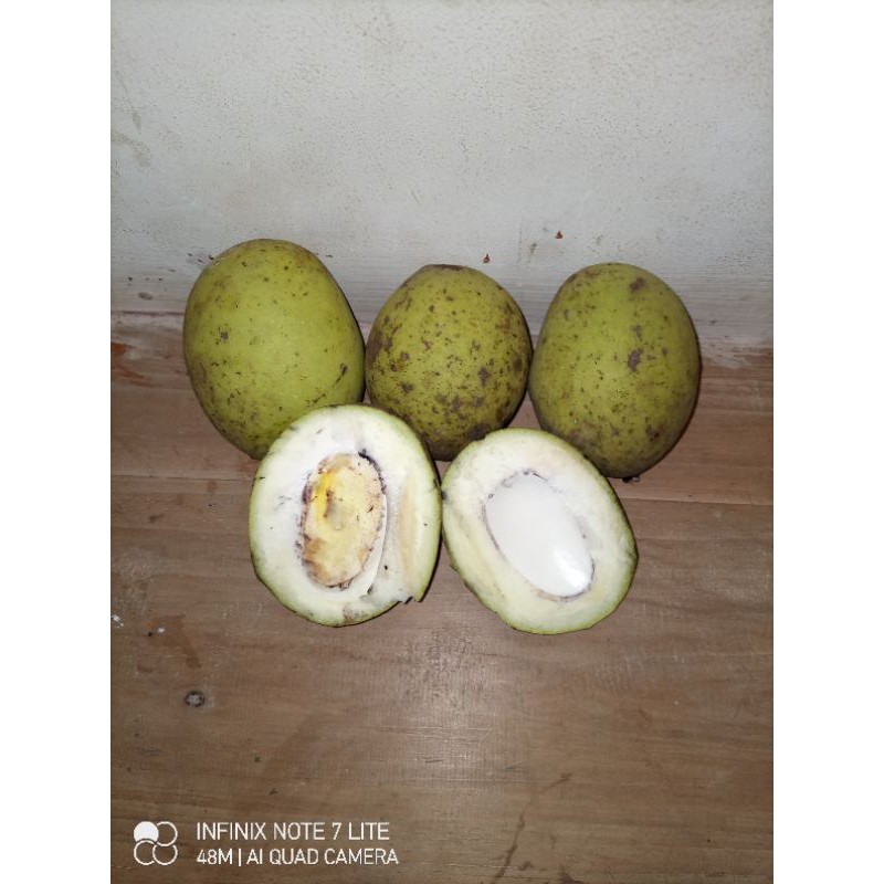 Jual Buah bacang segar atau Limus 1 kg | Shopee Indonesia