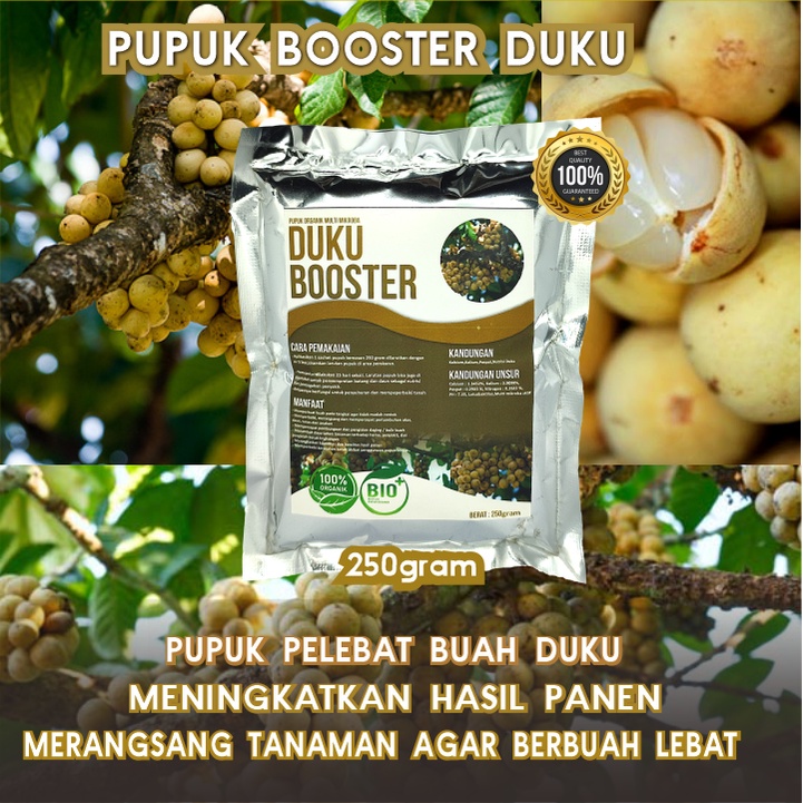 Jual Pupuk Organik Pelebat Booster duku Perangsang Buah duku , Pupuk Pelebat Buah duku ...
