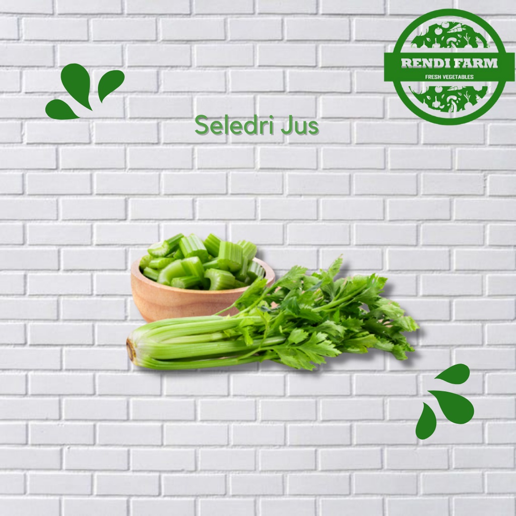 Jual SAYUR SEGAR - CELERY STICK / SELEDRI JUS 1 KG | Shopee Indonesia
