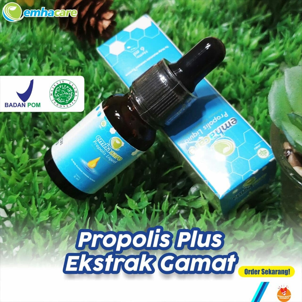 Jual Emhacare Propolis | Propolis Plus exctract Gamat Pertama di ...