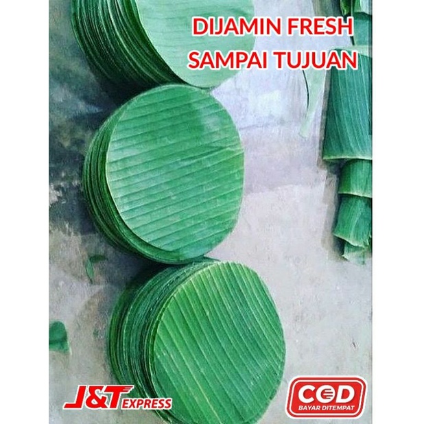 Jual DAUN PISANG BULAT FRESH 10-20cm | Shopee Indonesia