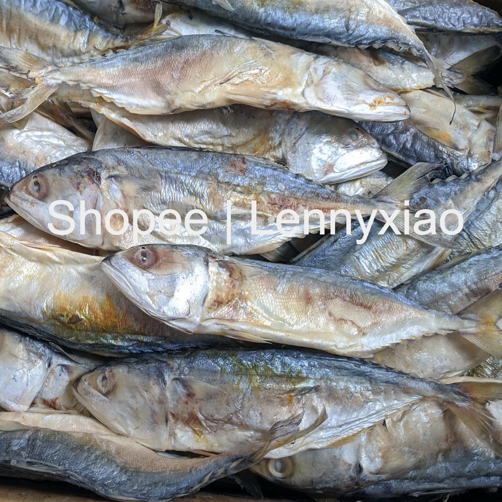 Jual Ikan Pedak Gembung khas SATAI Kembung Kambong Asin Daging Lembut ...