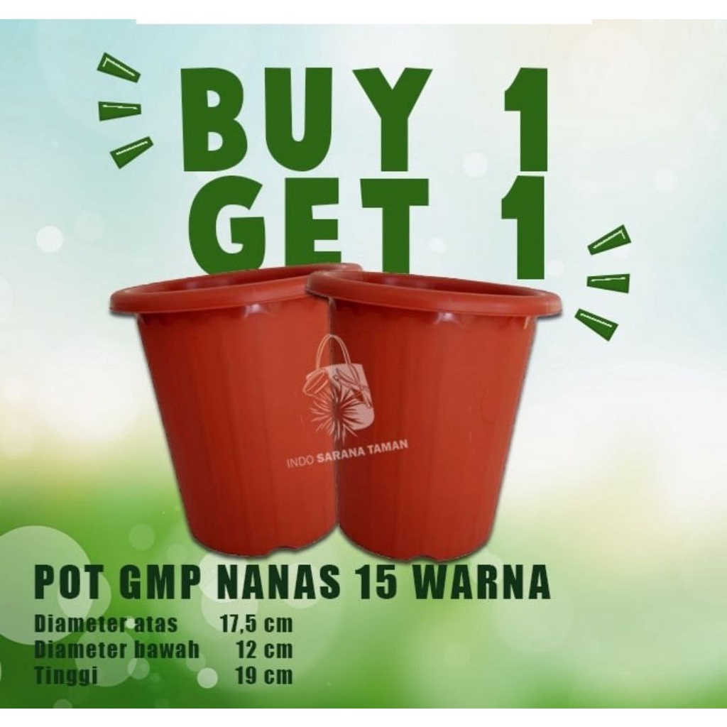 Jual BUY 1 GET 1 POT TINGGI GMP NANAS 15 MERAH BATA Pot Tanaman Pot ...