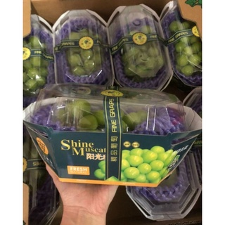 Jual anggur hijau shine muscat fresh seedless grapes per pack | Shopee ...