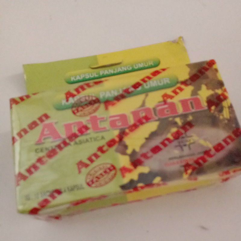 Jual antanan(centelaasiatica) | Shopee Indonesia