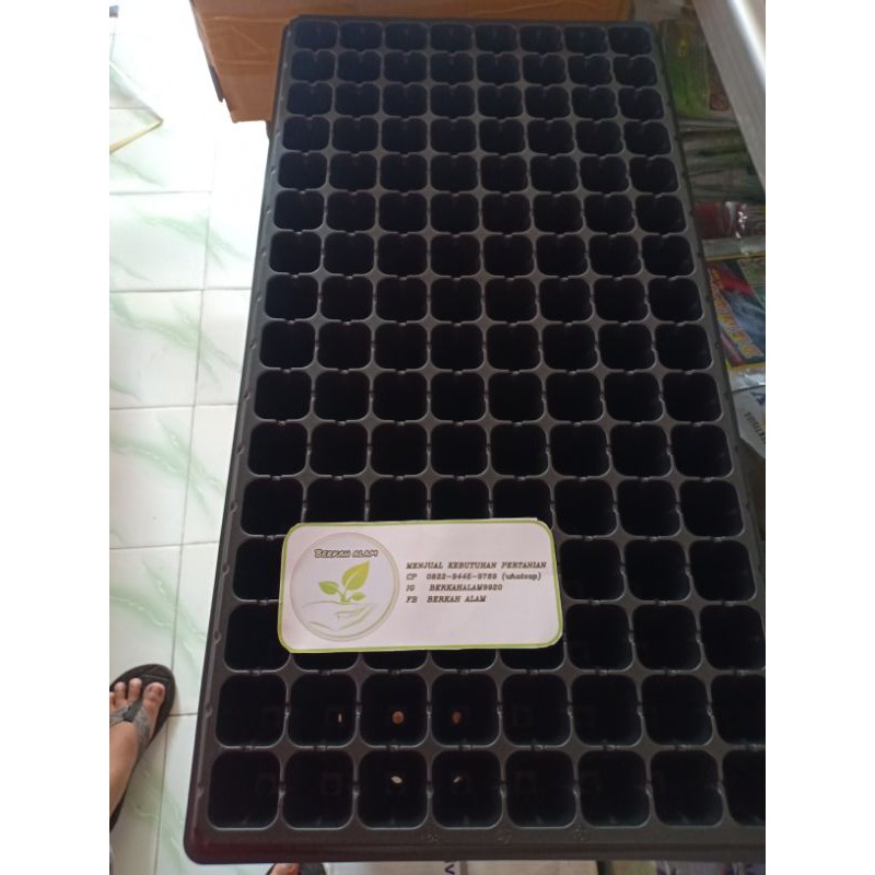 Jual Tray semai isi 128 lubang (minimal beli 5 pcs) | Shopee Indonesia