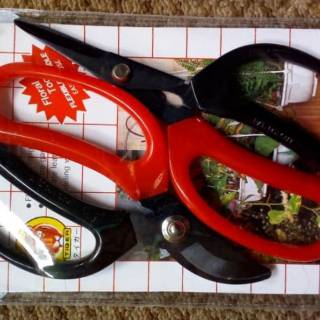 Jual Gunting Tiger isi 2pcs Gunting Tanaman Gunting Bunga Indonesia ...