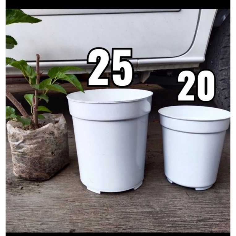Jual Pot tinggi putih 20 cm, pot bunga tanaman tinggi 25, warna putih ...