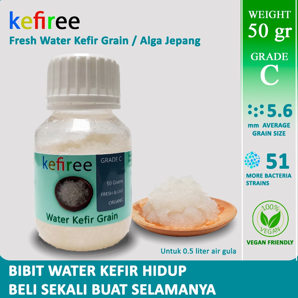 Jual BIBIT WATER KEFIR HIDUP/WATER KEFIR GRAIN (FRESH) - KEFIREE (5O Gr ...