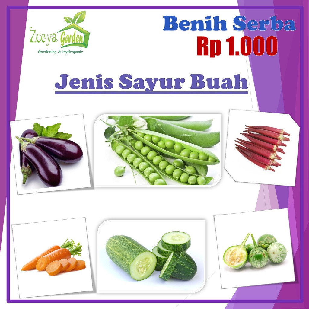 Jual Benih Sayur Buah Serba 1000 ( Terong, Edemame, Wortel, Kacang ...