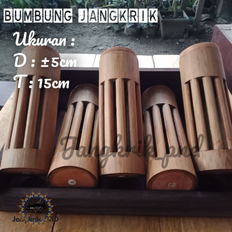 Jual kandang jangkrik aduan 5 slot bumbung jangkrik bambu bulat ...