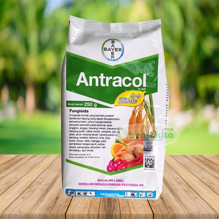 Jual Antracol Fungisida-Obat Jamur Tanaman 70WP-250gr Indonesia|Shopee ...