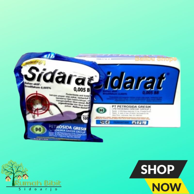 Jual Racun Tikus Sidarat Petrokum 100gr | Shopee Indonesia Jual Racun Tikus Sidarat Petrokum 100gr | Shopee Indonesia