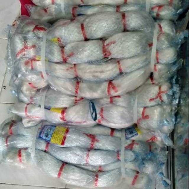 Jual JARING BURUNG PIPIT|JARING PELINDUNG PADI|PERTANIAN | Shopee Indonesia