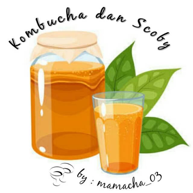Produk KOMBUCHA DAN SCOBY SEHAT | Shopee Indonesia