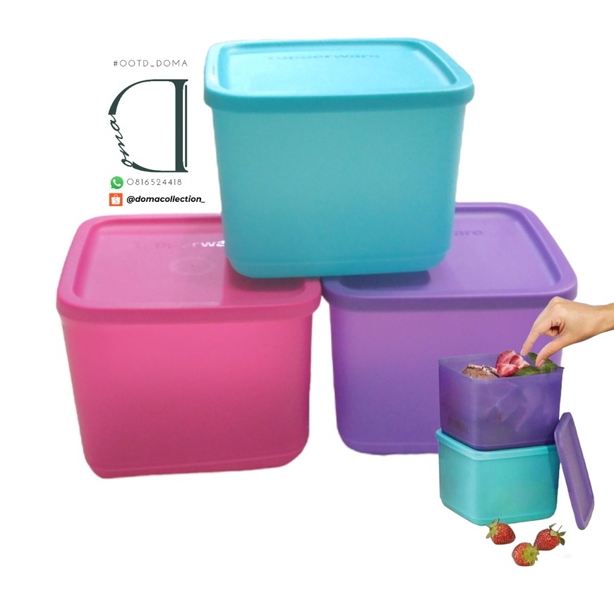 Jual TUPPERWARE MEDIUM TROPICAL FIESTA TOPLES ECER 1L | Shopee Indonesia