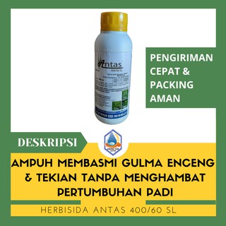 Jual Racun Herbisida Obat Pembasmi Sistemik Selektif Rumput Padi Sawah ...