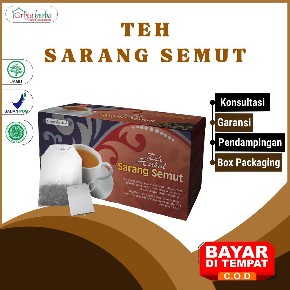 Jual Teh Sarang Semut Griya Herba Obat Herbal Kanker Halal Minuman Anti ...