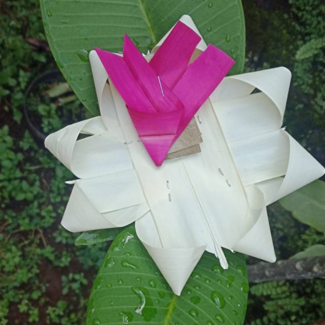 Canang sari canang Bali busung ibug ISi 50pcs | Shopee Indonesia