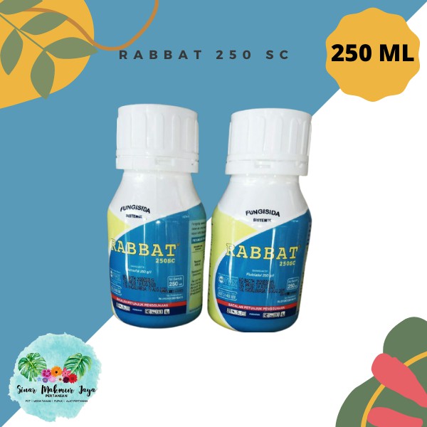 Harga Rabbat Terbaru Desember 2023 |BigGo Indonesia